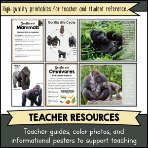 All About GORILLAS Animal SCIENCE Unit PDF | Printable Learning Pack ...