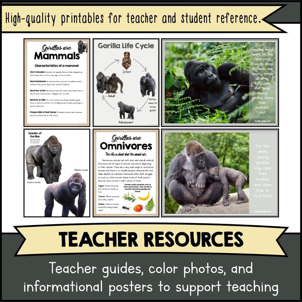 All About GORILLAS Animal SCIENCE Unit PDF | Printable Learning Pack ...
