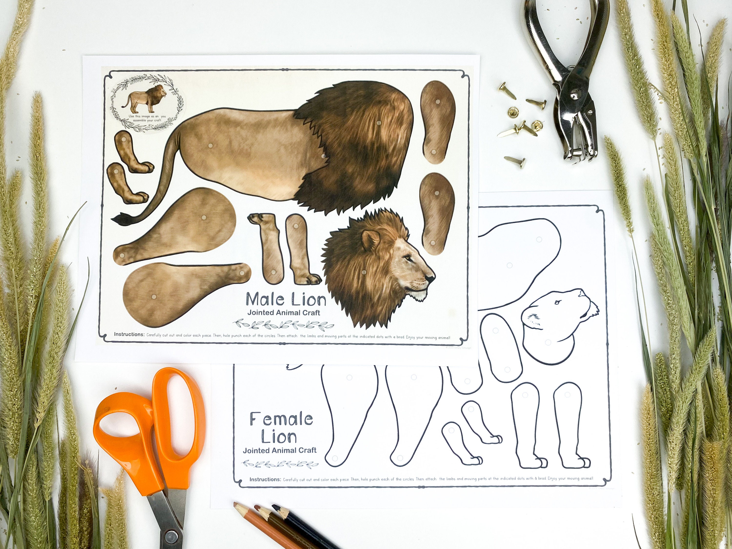Printable Jointed Lion Template | Articulated Lion Craft Kit | DIY Lion ...