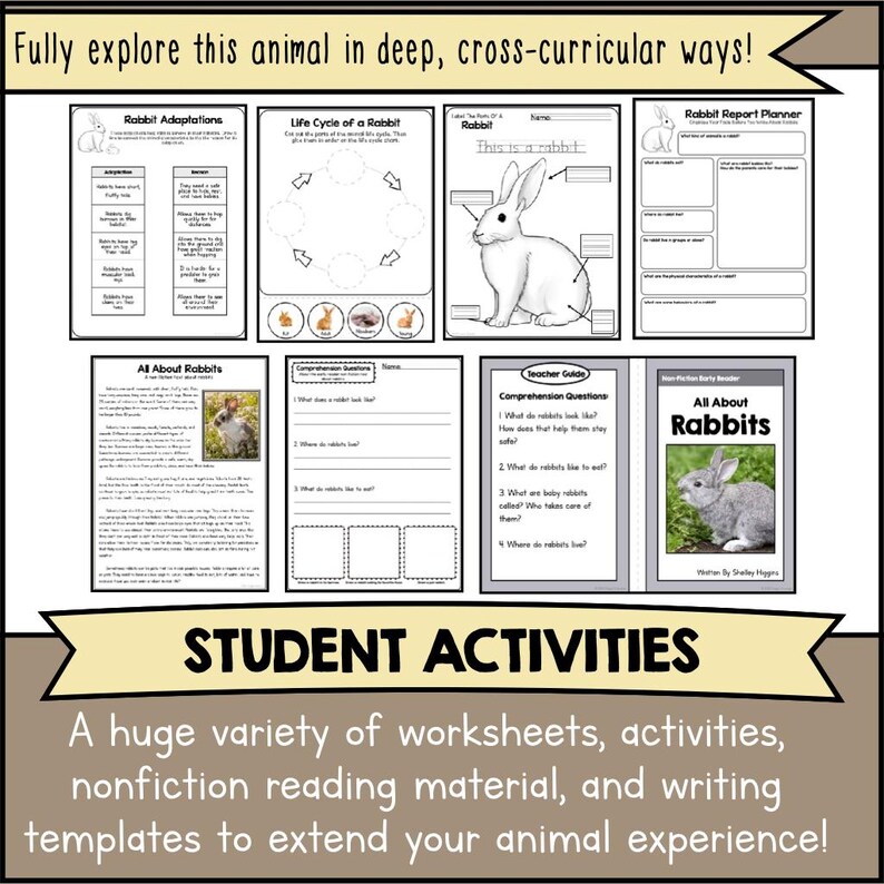Printable RABBIT Animal Science Unit Template Kit | DIY Articulated ...