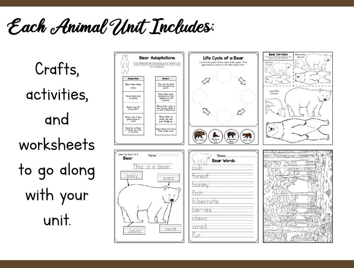 All About Bears- Animal Science Unit - Etsy