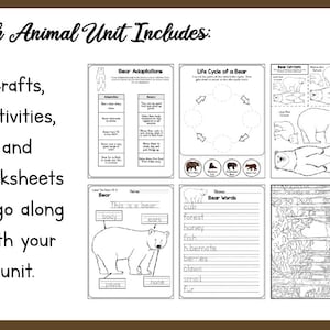 All About Bears- Animal Science Unit - Etsy