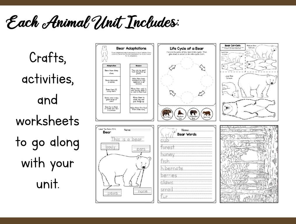 All About Bears- Animal Science Unit - Etsy