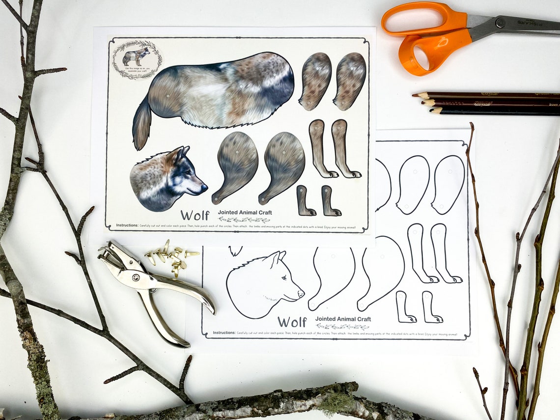 Wolf Jointed Animal Craft | Easy Assembly Articulated Wolf | Nature ...