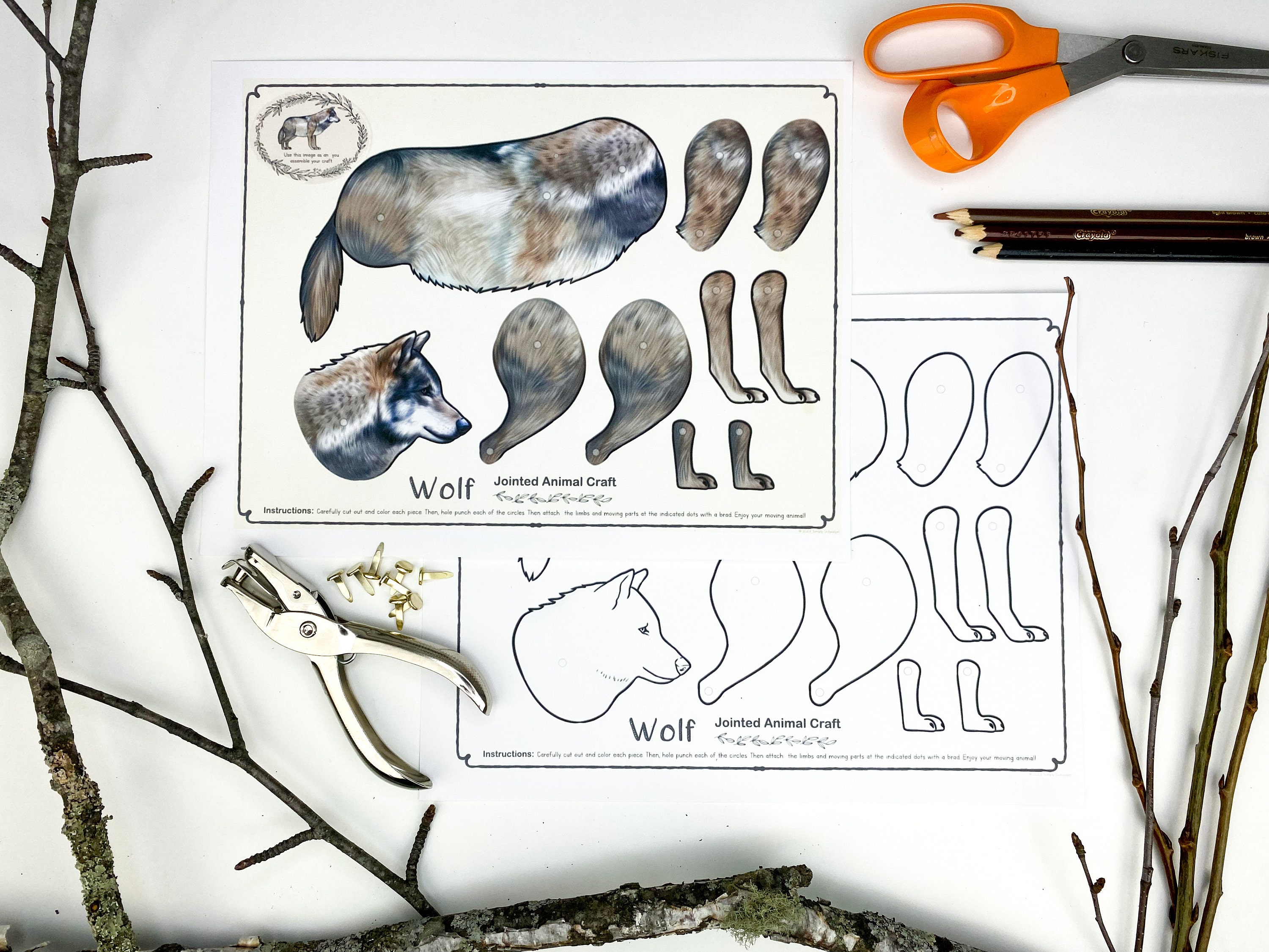 Wolf Jointed Animal Craft | Easy Assembly Articulated Wolf | Nature ...