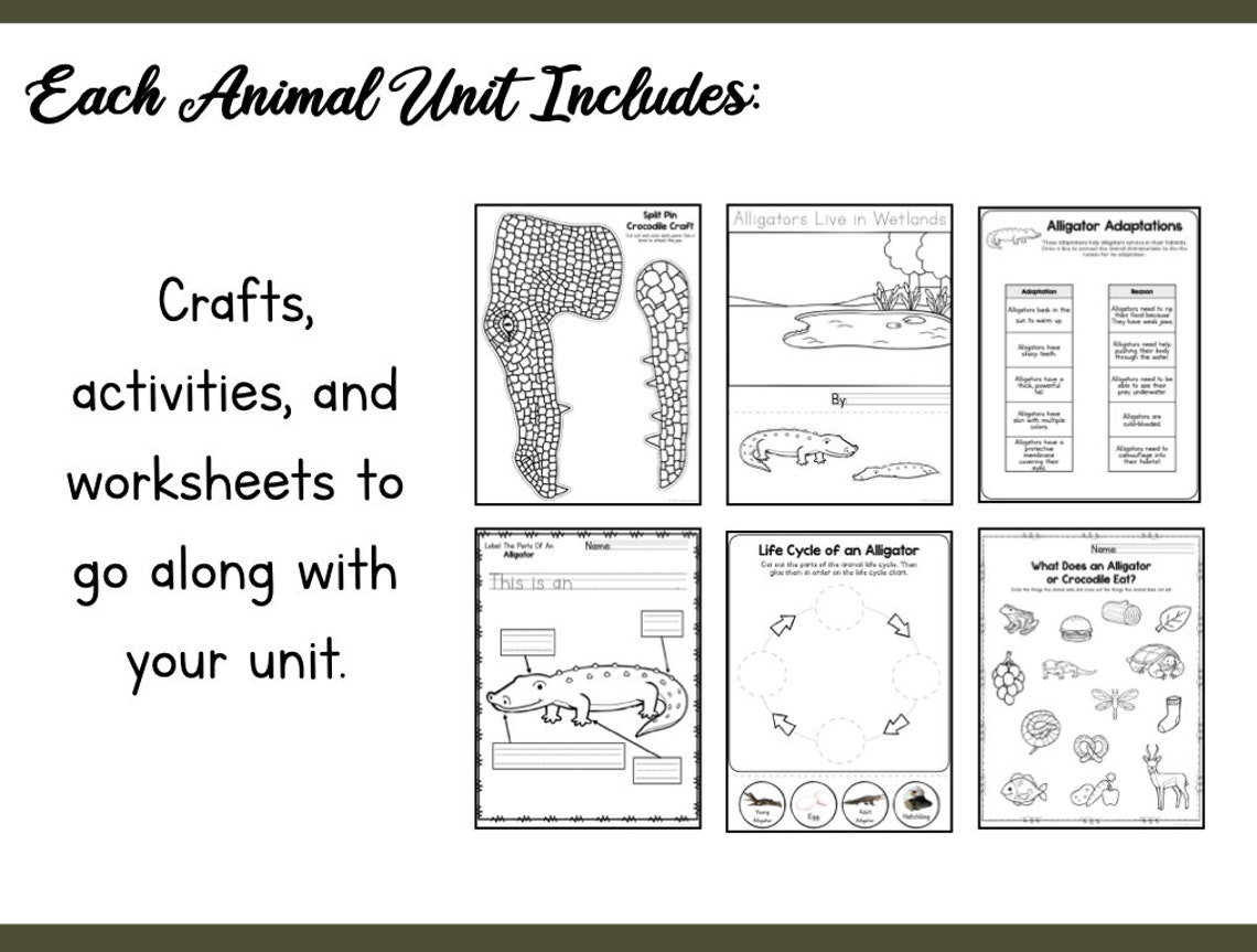 All About Alligators and Crocodiles- Animal Science Unit - Etsy
