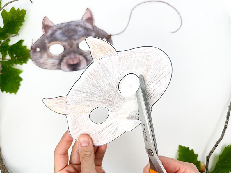 Printable Squirrel Paper Mask | Eco Friendly DIY Craft Template | Fun ...