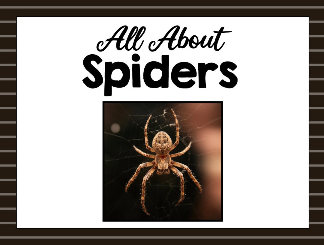 All About Spiders- Animal Science Unit - Etsy