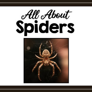 All About Spiders- Animal Science Unit - Etsy