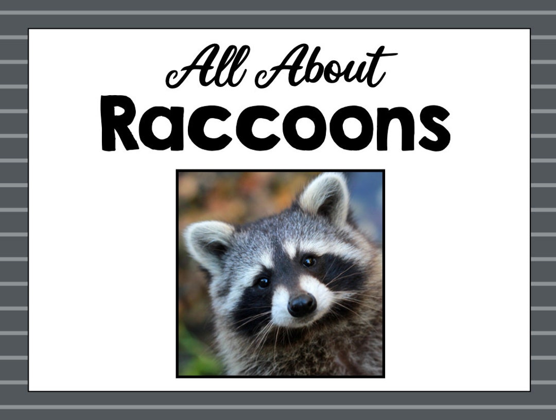 All About Raccoons- Animal Science Unit - Etsy