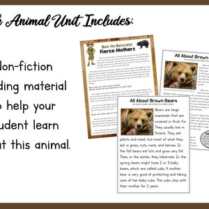 All About Bears- Animal Science Unit - Etsy