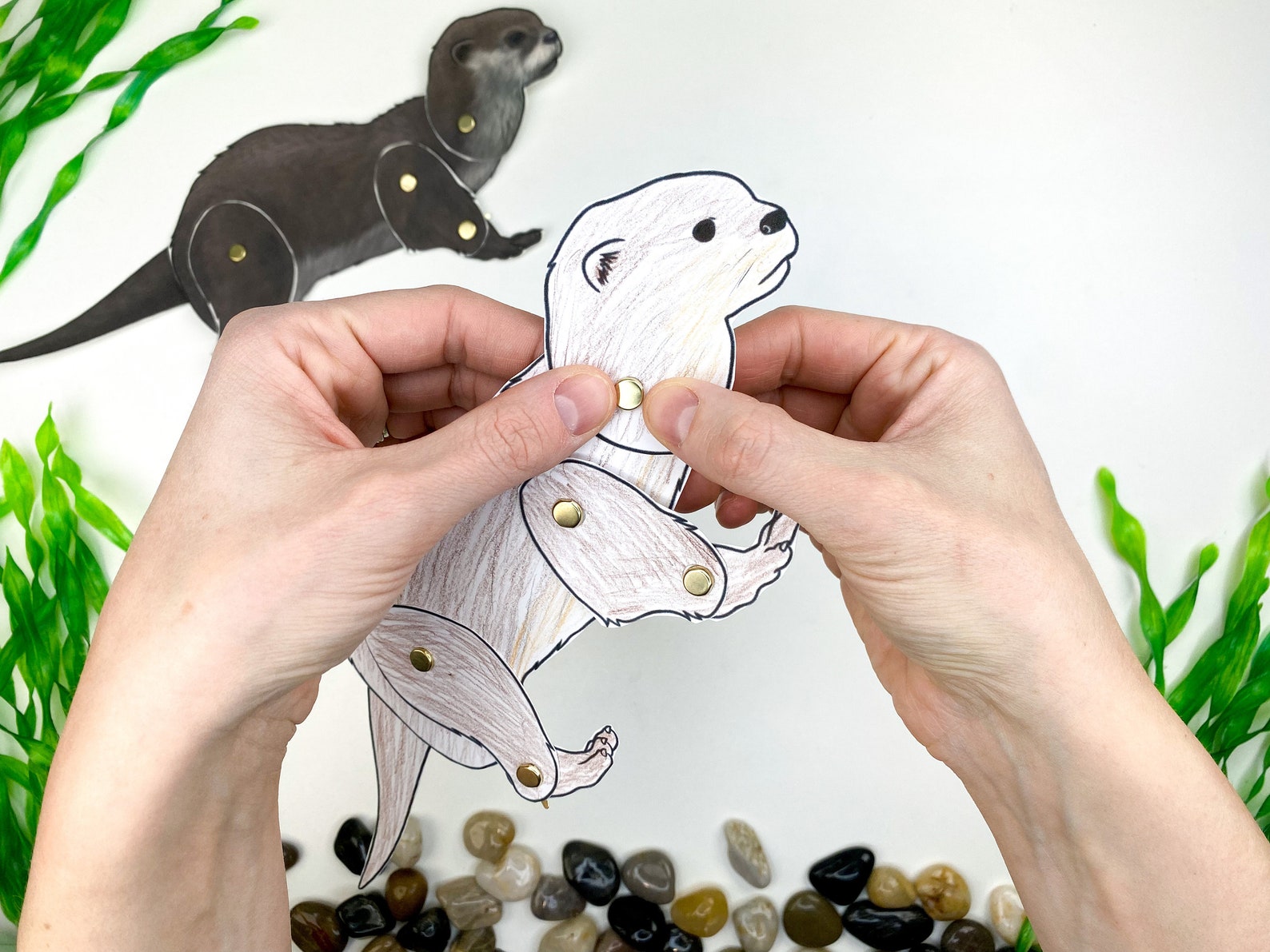 Printable Otter Craft Template | Articulated Jointed Animal | Woodland ...