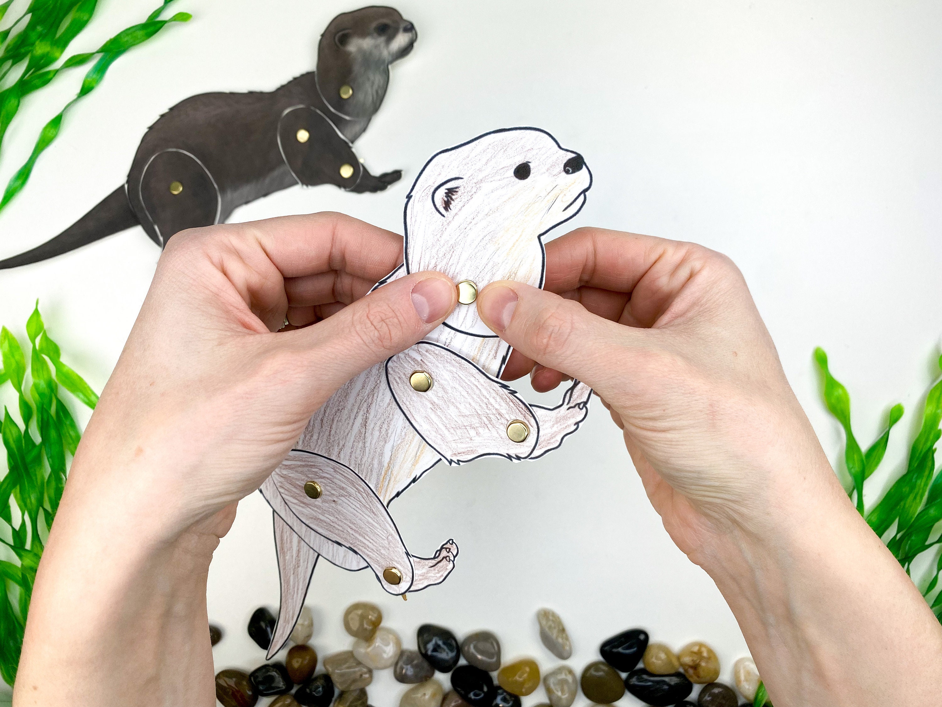 Printable Otter Craft Template | Articulated Jointed Animal | Woodland ...