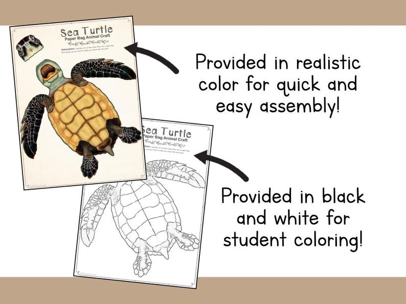 Printable Jointed Sea Turtle Puppet Craft | Articulated Animal Template ...