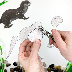 Printable Otter Craft Template | Articulated Jointed Animal | Woodland ...