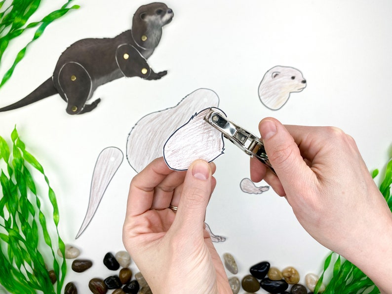 Printable Otter Craft Template | Articulated Jointed Animal | Woodland ...