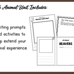 All About Beavers Animal Science Unit - Etsy