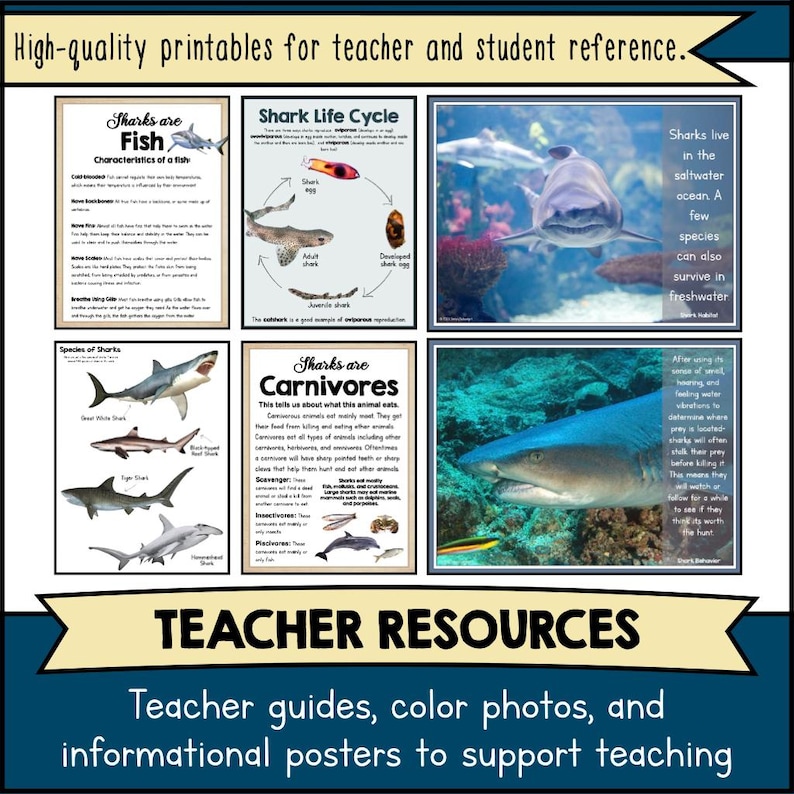 Printable SHARKS Science Unit Template Kit | DIY Articulated Animal PDF ...