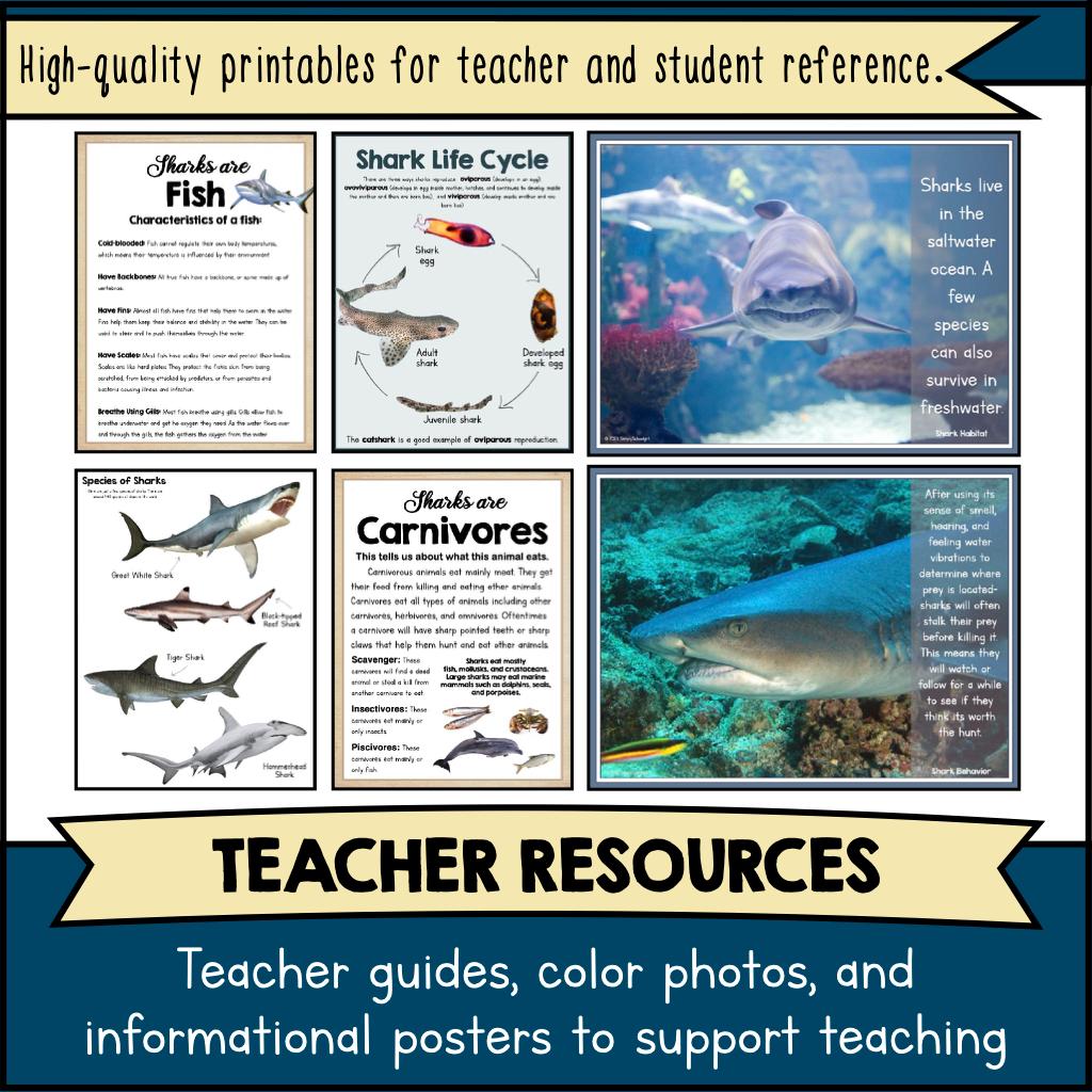 Printable SHARKS Science Unit Template Kit | DIY Articulated Animal PDF ...