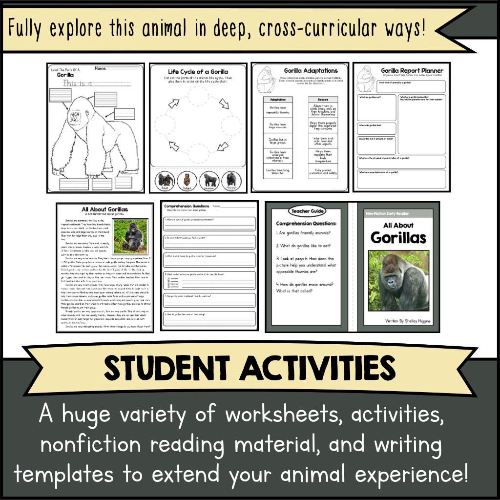 All About GORILLAS Animal SCIENCE Unit PDF | Printable Learning Pack ...