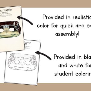 Sea Turtle Paper Mask Craft Kit | Printable Sea Animal Template | Ocean ...