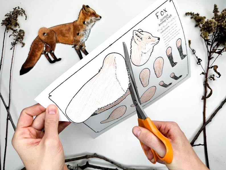 40+ Realistic Jointed Animal Papercraft Printable Template Diy Kids ...