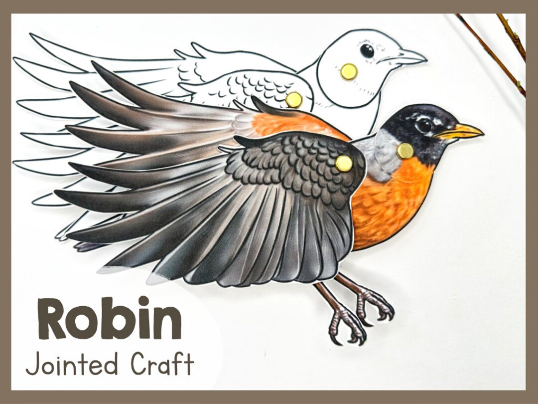 Printable Robin Jointed Animal Craft | Unique Articulated Paper ...