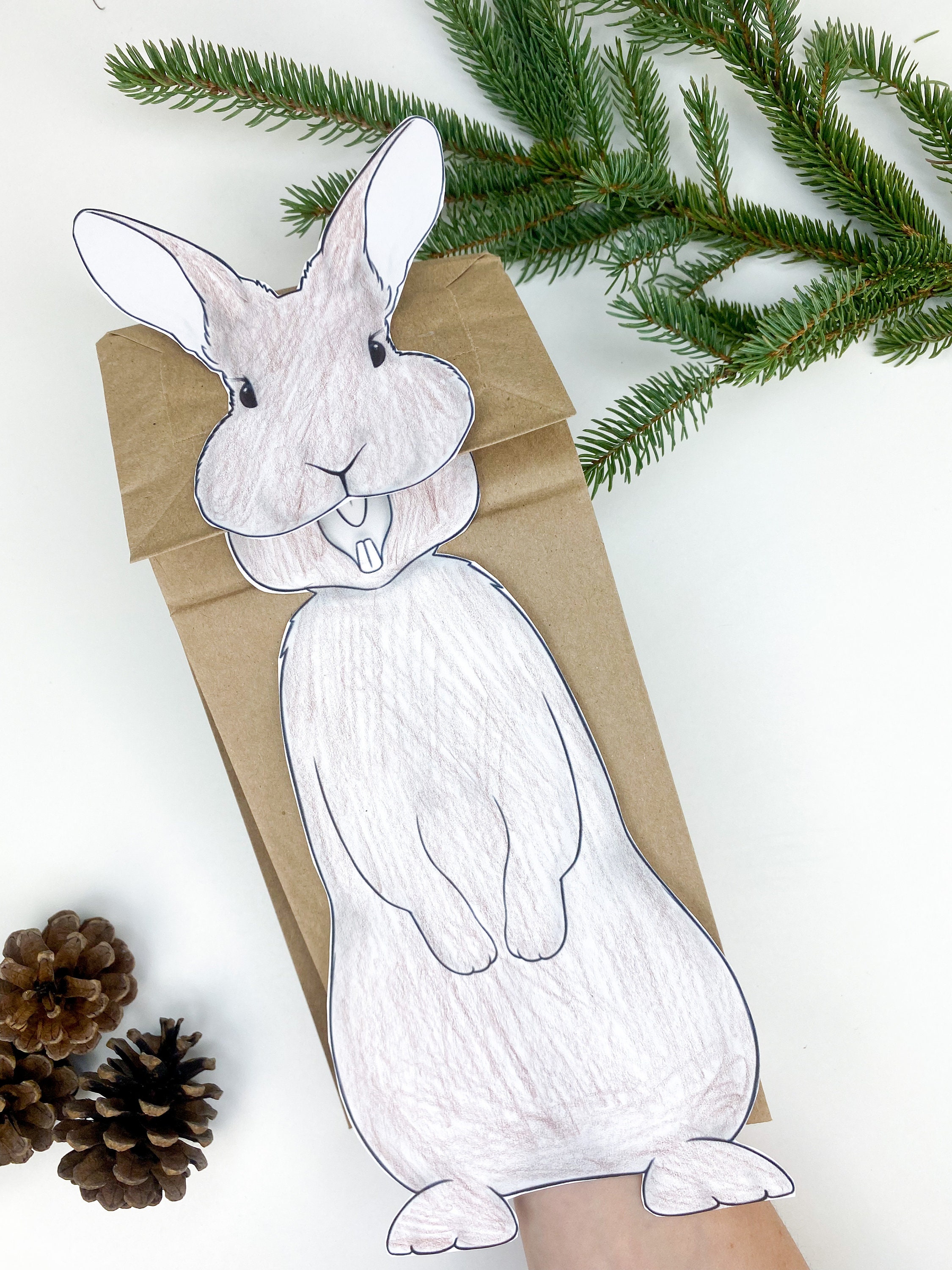 Rabbit Printable Mask Paper Animal Face Kit Fun Animal Interactive ...