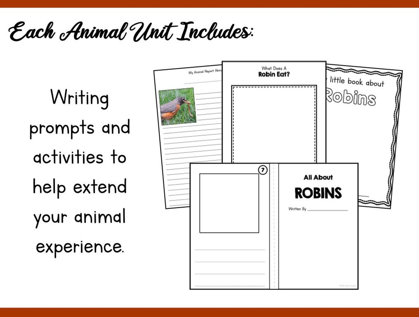 All About Robins- Animal Science Unit - Etsy