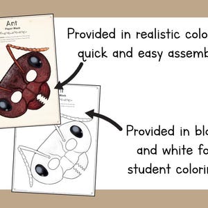 Ant Printable Mask | Paper Animal Face Kit | Fun Animal Interactive ...