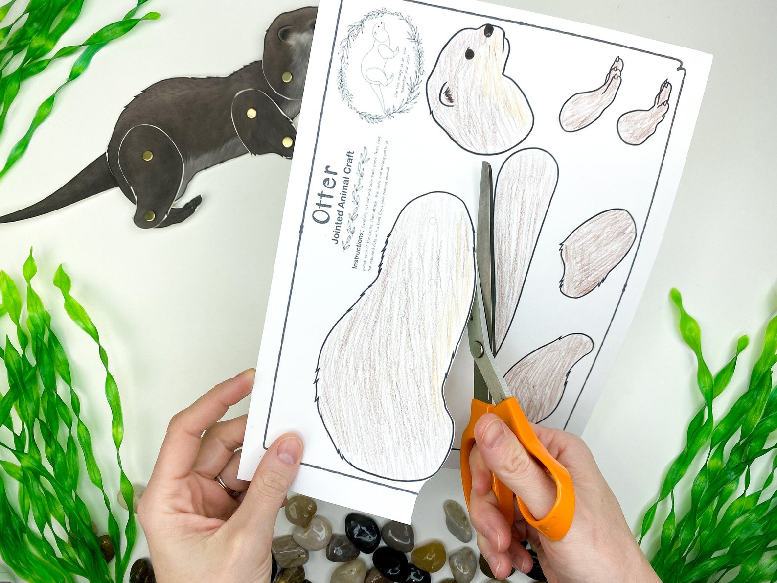 Printable Otter Craft Template | Articulated Jointed Animal | Woodland ...