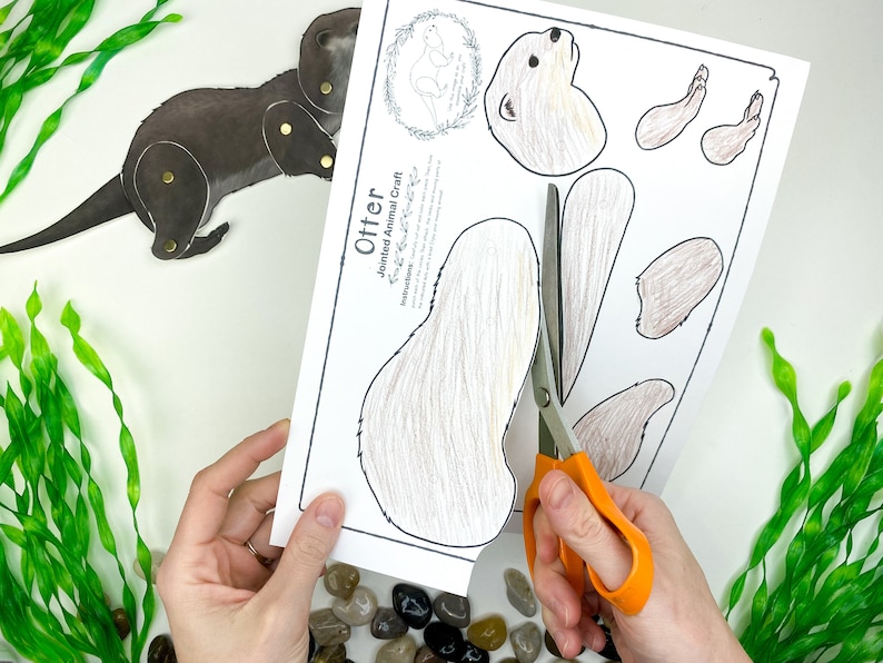 Printable Otter Craft Template | Articulated Jointed Animal | Woodland ...