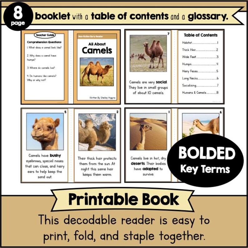 Camel Early Reader Nonfiction PDF | Desert Animal Adaptations | Real ...