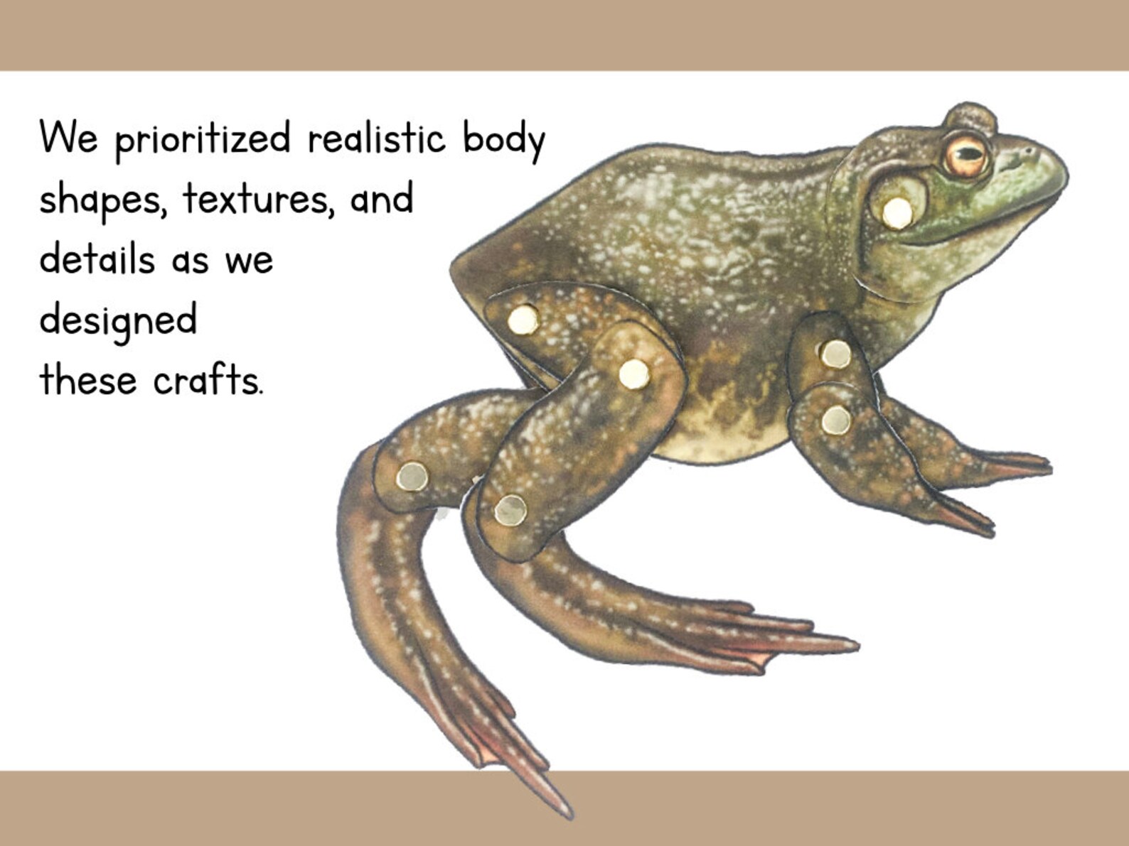 Frog Jointed Animal Craft Kit | Articulated Paper Frog | Printable ...