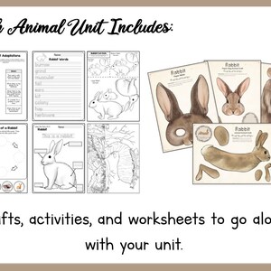 All About Rabbits- Animal Science Unit - Etsy