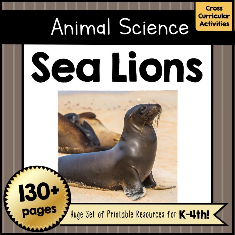 Sea Lion - Etsy