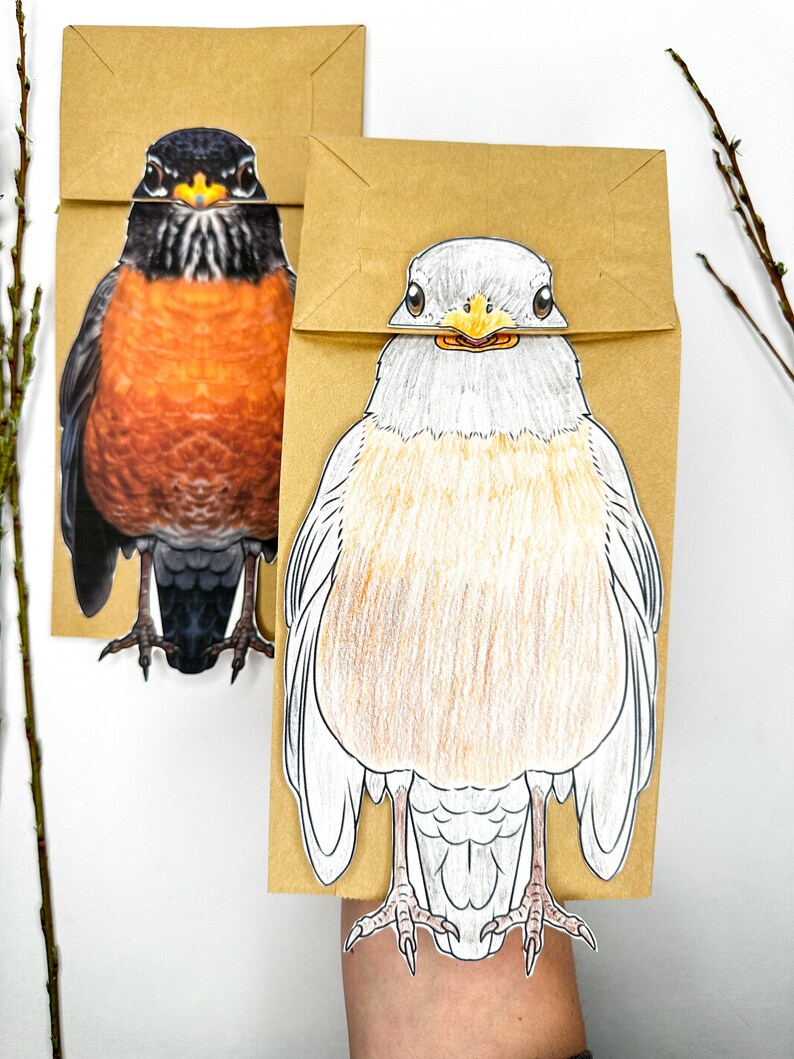Robin Paper Bag Puppet Kit: Printable Craft for Kids (digital Download ...