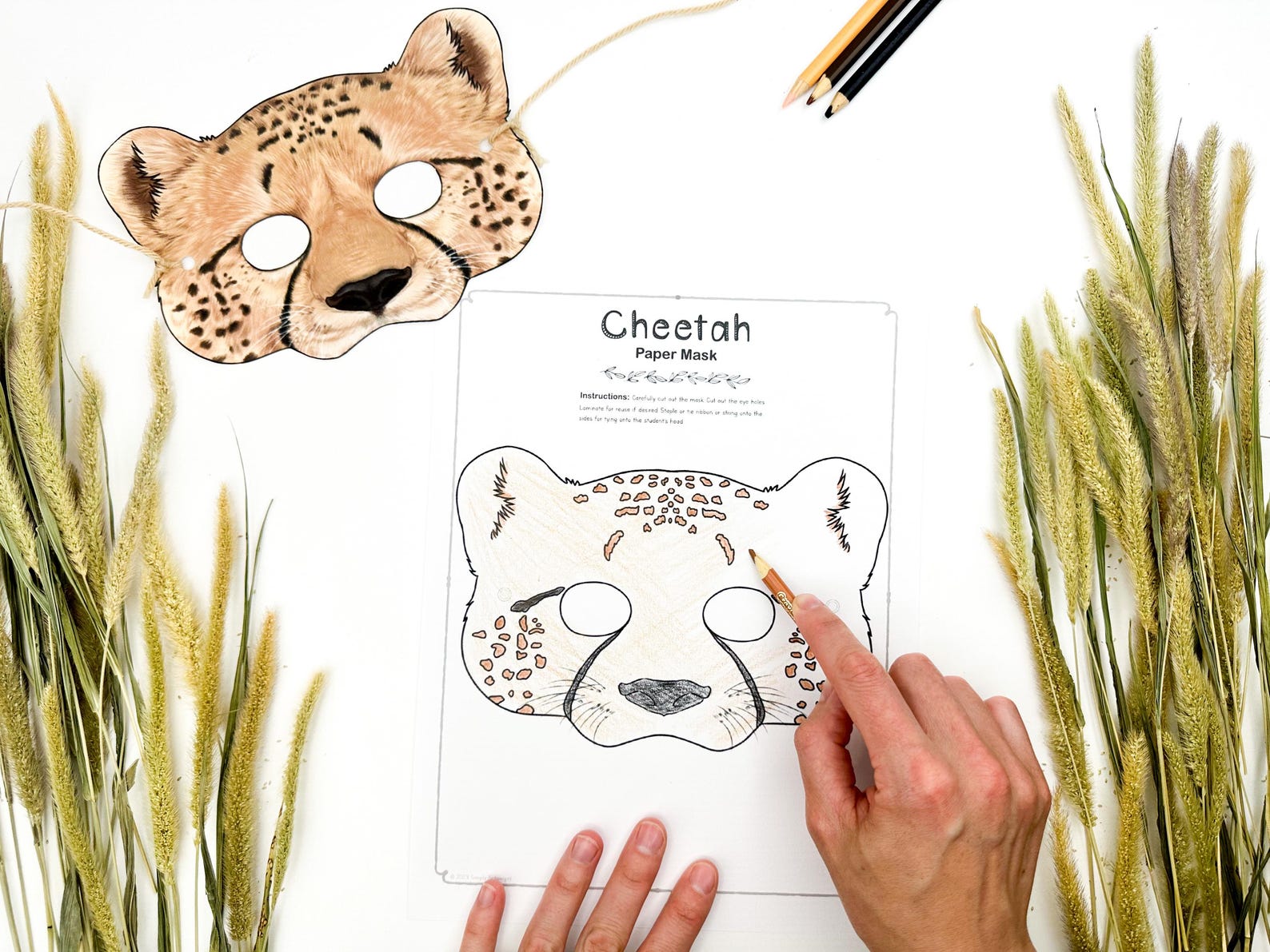 Printable Cheetah Face Mask | Creative Paper Craft Template | Animal ...