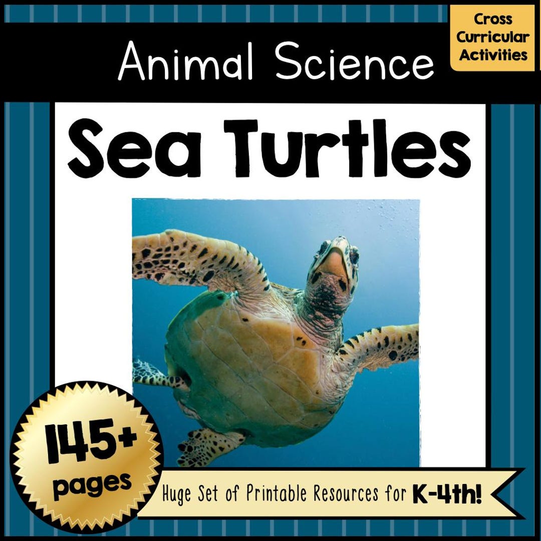 Printable SEA TURTLE Life Cycle Science Unit | Ocean Animal Study ...