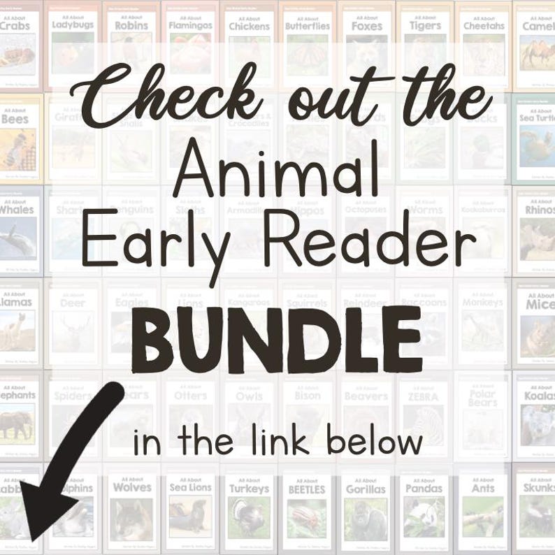 Bats Non Fiction Comprehension for Kids, Decodable Reading Passages ...