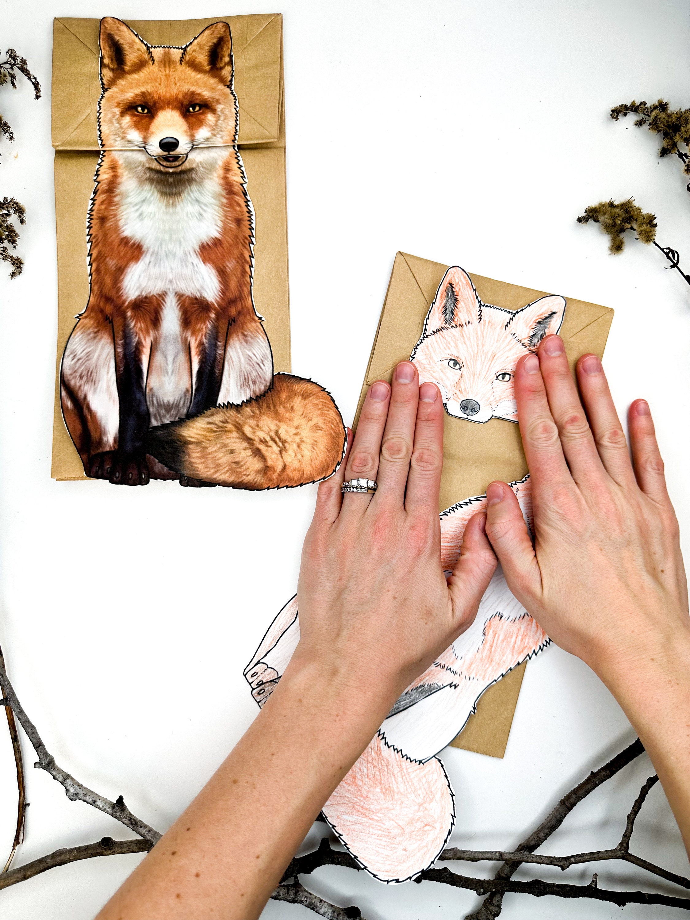 Fox Paper Bag Puppet | Instant Download Craft Template | Fox Themed ...