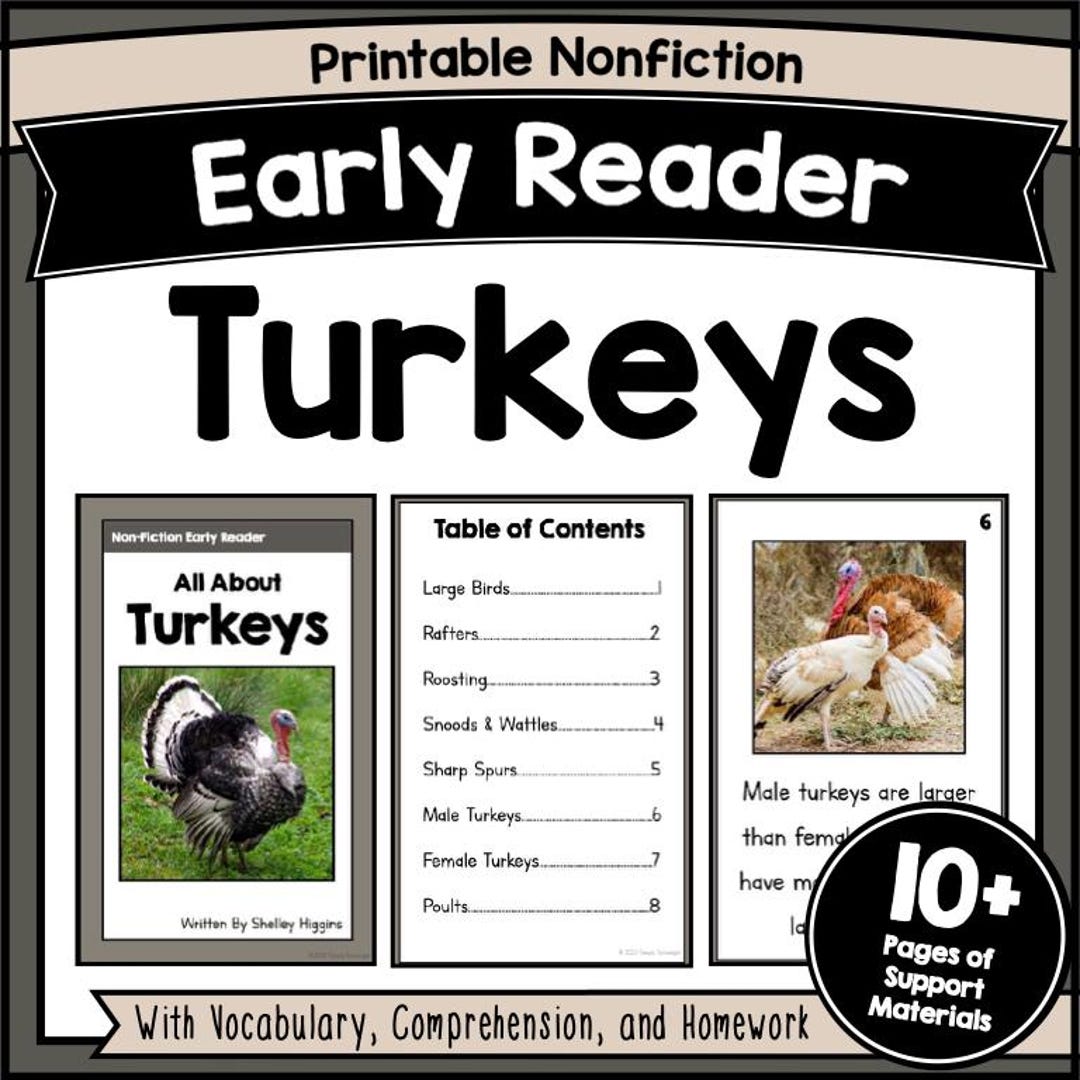 TURKEYS Short Animal Facts Story Decodable Book Early Reading ...
