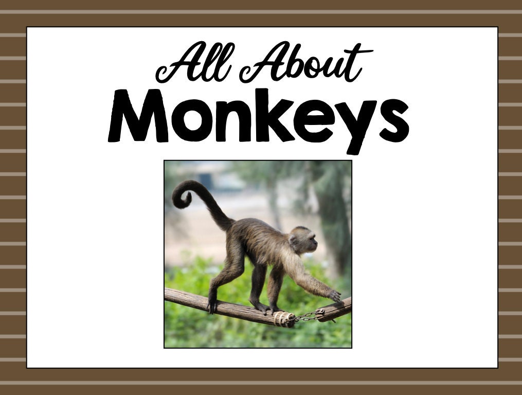All About Monkeys- Animal Science Unit - Etsy