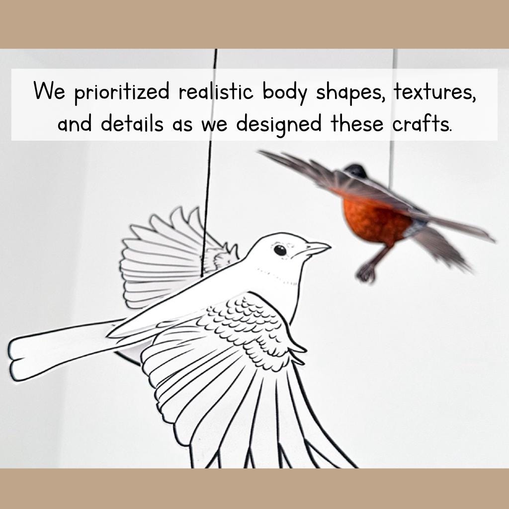 ROBIN 3D Paper Craft Template PDF | Printable DIY Hanging Bird Model ...
