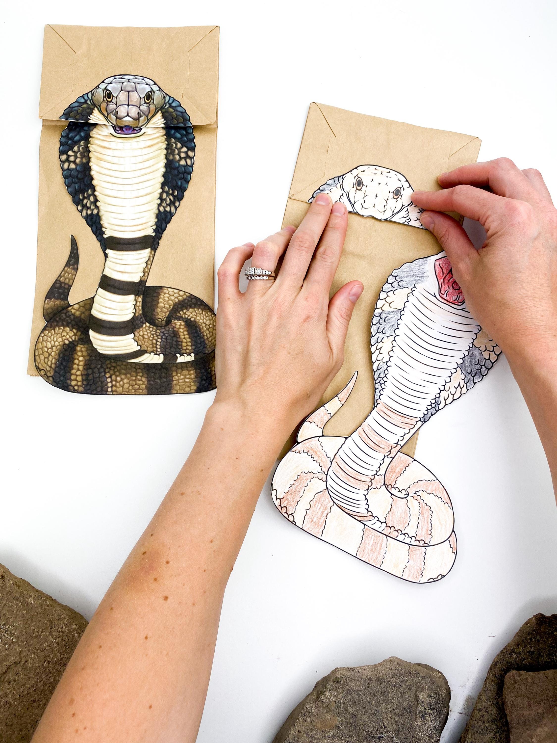 Printable SNAKE Paper Bag Puppet Craft Kit | DIY Reptile Craft PDF ...