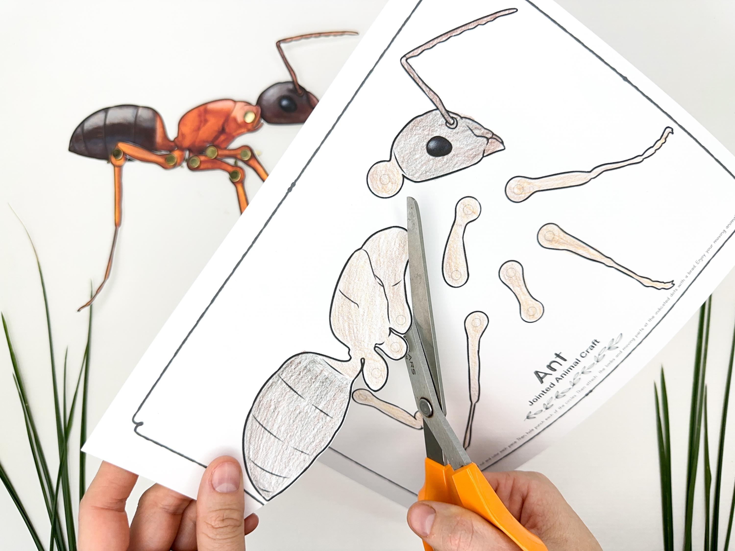 Articulated Ant Craft Kit Printable Jointed Ants Template for Creative ...