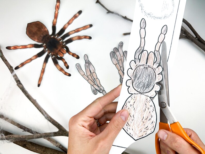 Printable Articulated SPIDER Puppet Craft Kit | DIY Jointed Animal ...