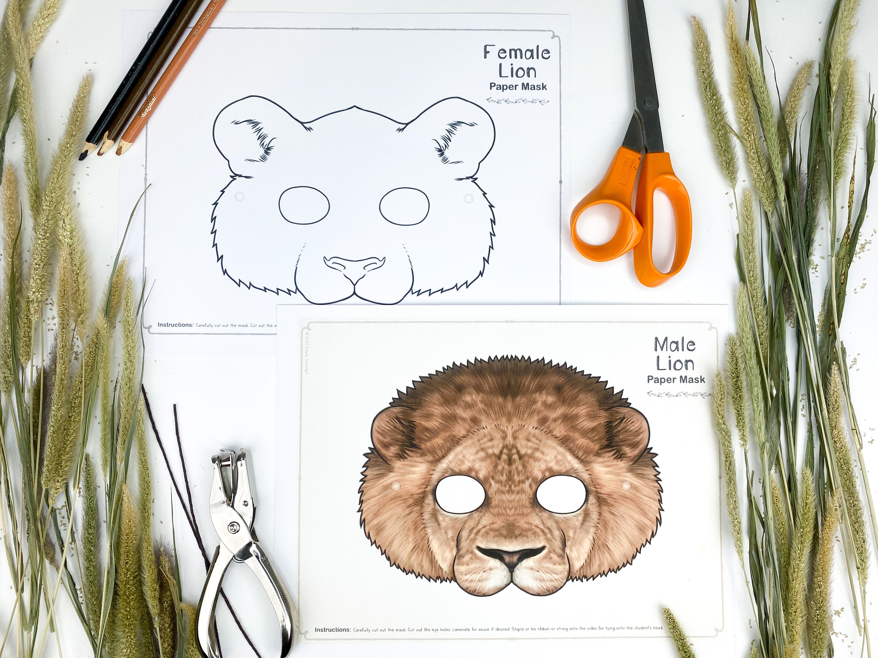 Lion Paper Mask Craft Kit | Printable Majestic Animal Mask Template ...