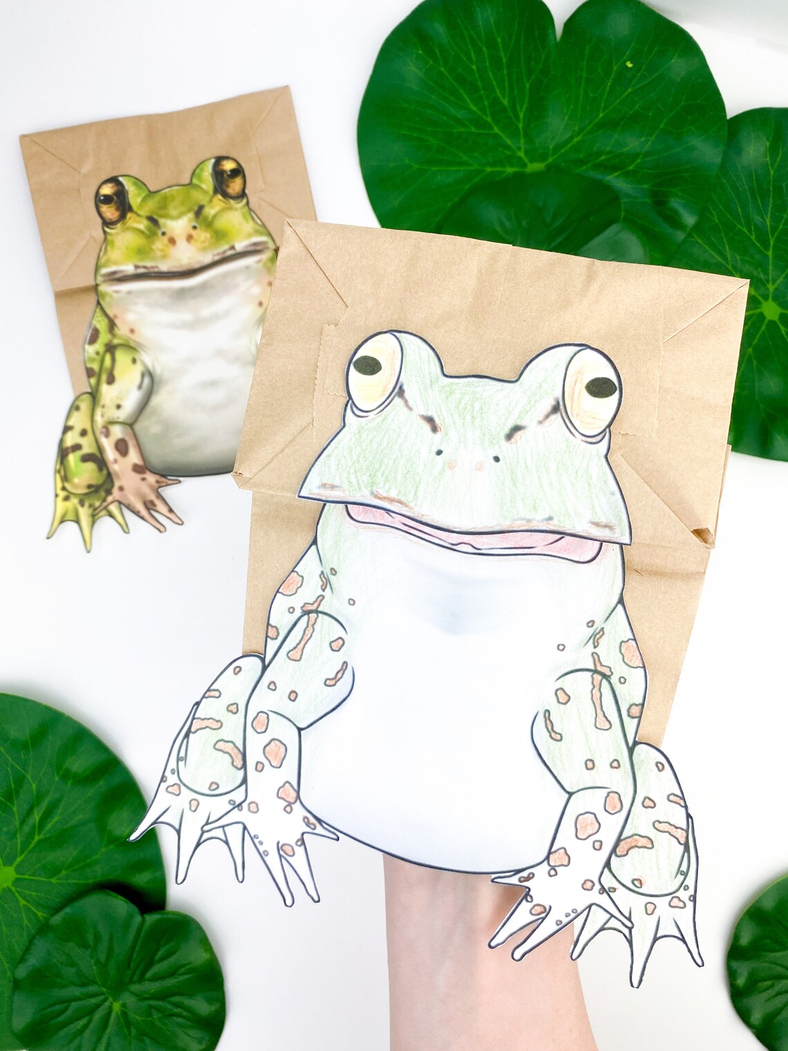 Frog Paper Bag Puppet Craft Kit Eco-friendly Printable Template Easy ...