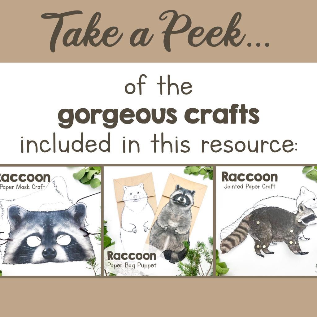 Printable RACCOON Animal Science Unit | DIY Learning PDF | Kids ...
